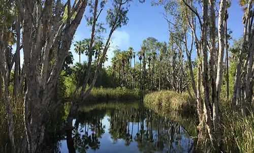 Know about Aboriginal Water Reserves | Water Security